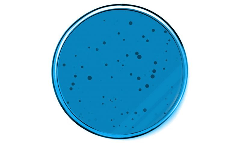 Digestorium ᐅ Die Laborabzug Prüfung nach DIN EN 14175